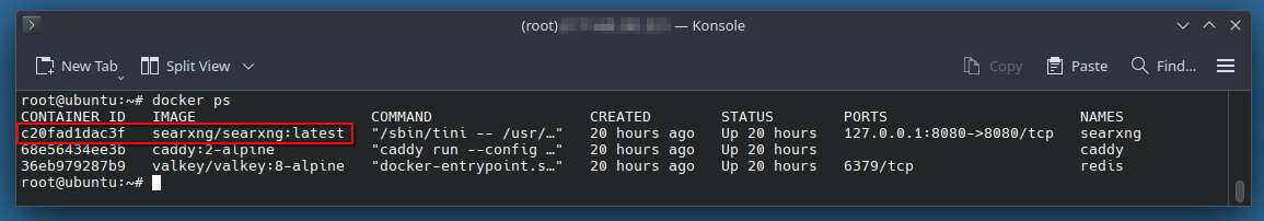Simple Public Searxng Docker Install From Scratch Vyrmins Epic Blog